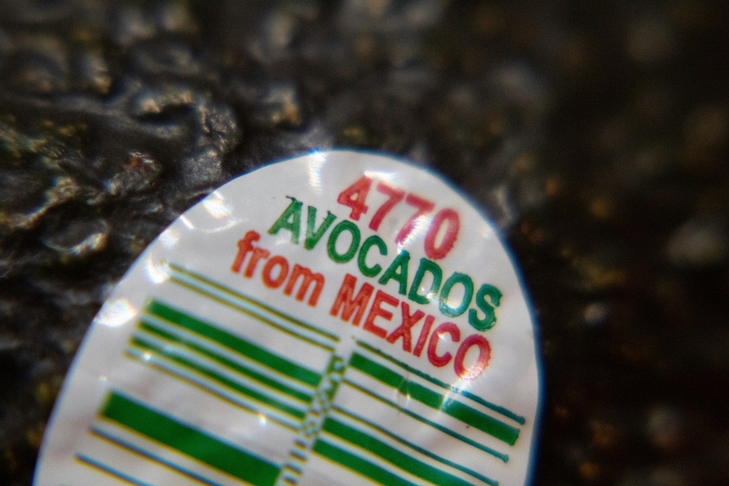 Blood Avocados: How US tariffs and the war on fentanyl are redrawing ...