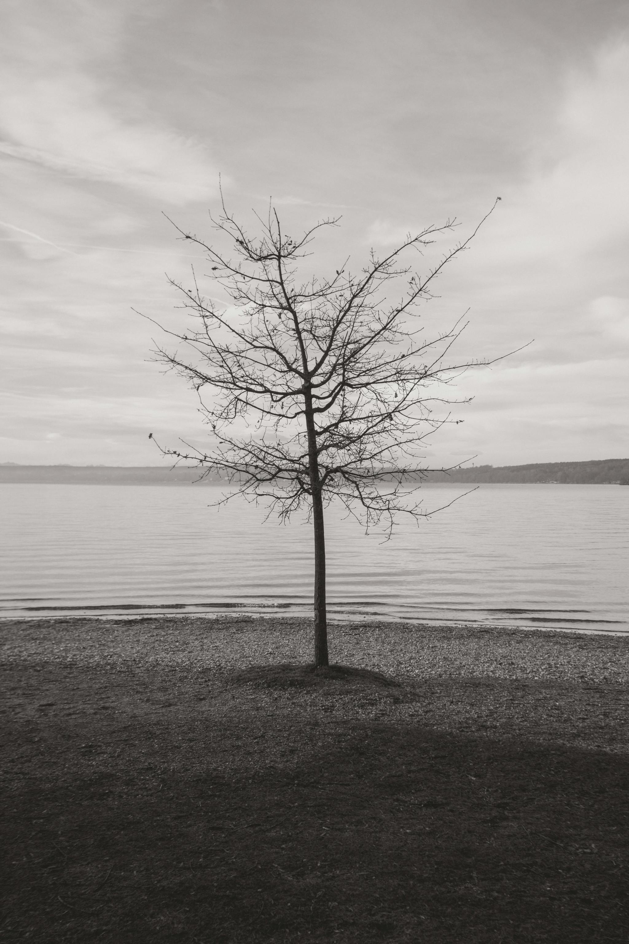 The Fear of Silence: Humanity’s Endless Search to Escape Loneliness ...